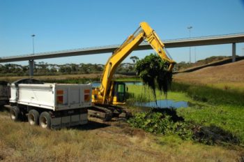 Dam Weed Removal And Control Services | Big Ditch