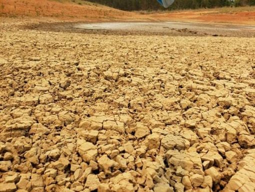 Most Common Dam Sealing Methods