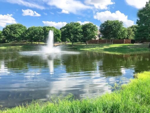 7 Key Dam Size Insights From Big Ditch Dam Building Company